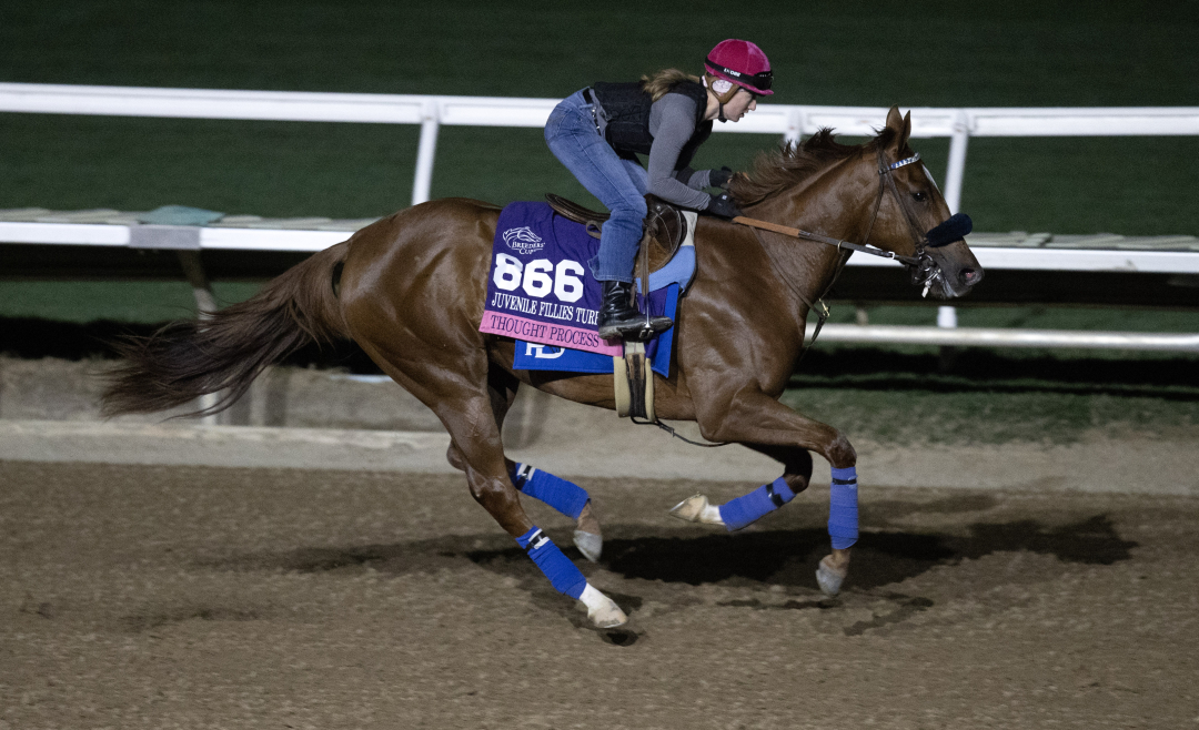 Thought Process a no-brainer in San Clemente